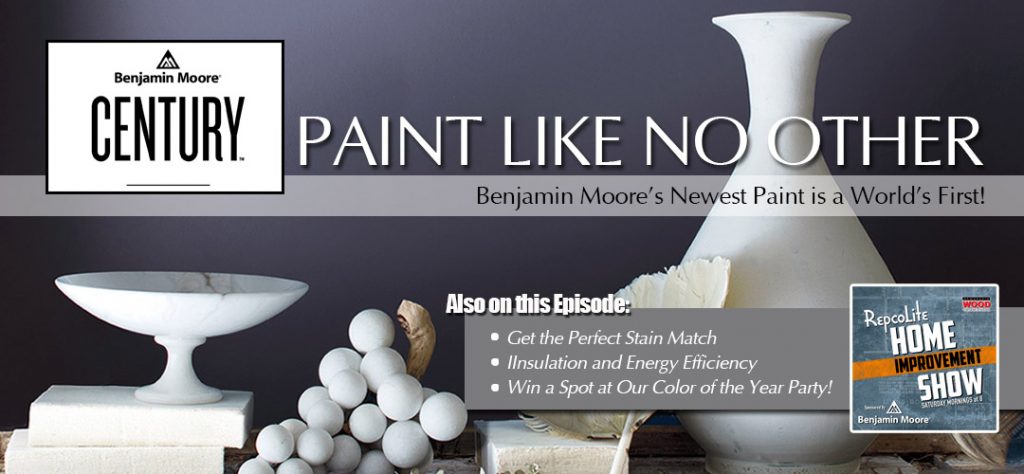 ep30_slides - RepcoLite Paints