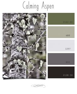 Calming Aspen - RepcoLite Paints