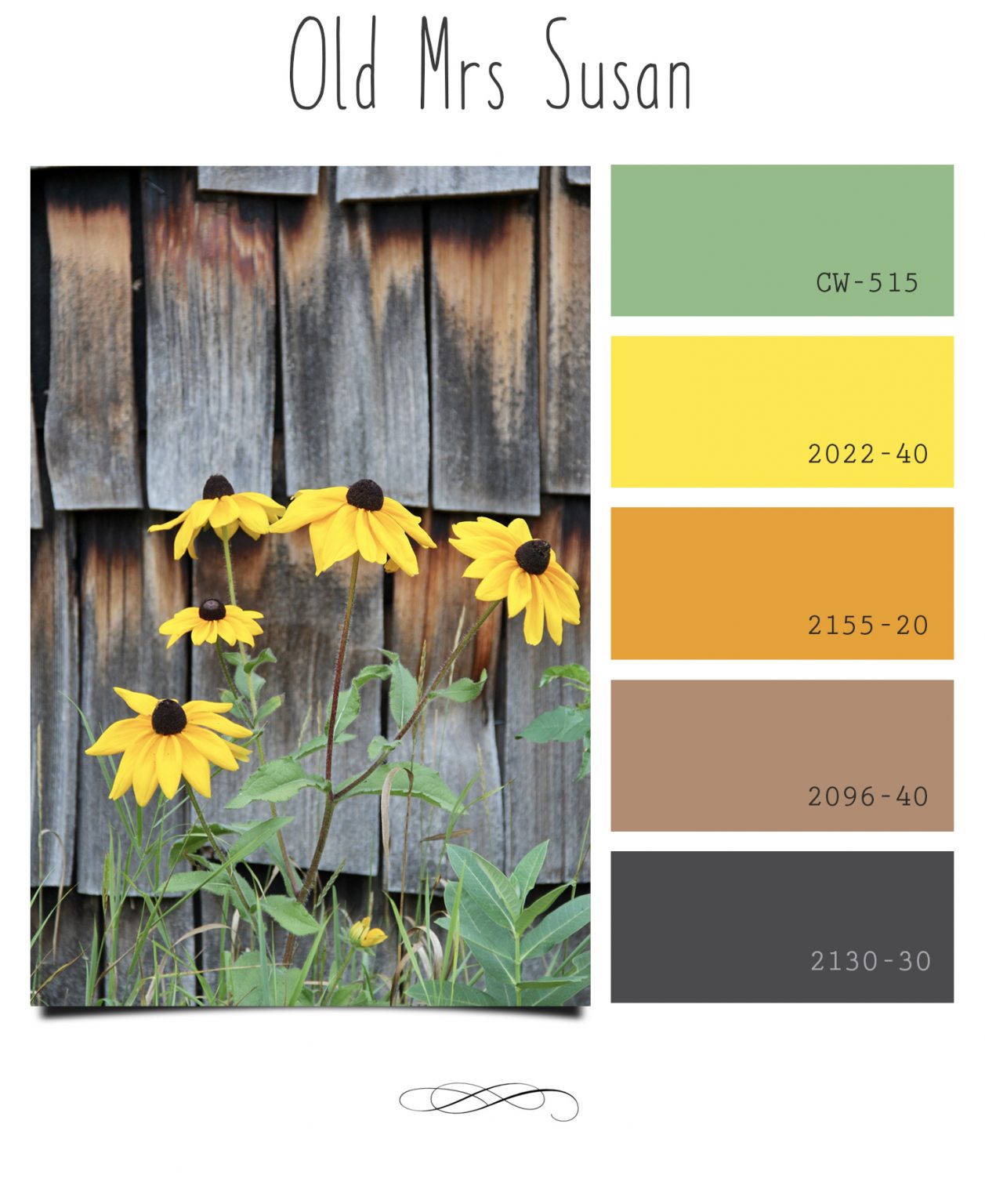 Old Mrs Susan - RepcoLite Paints