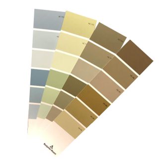 COLOR CHIPS - RepcoLite Paints